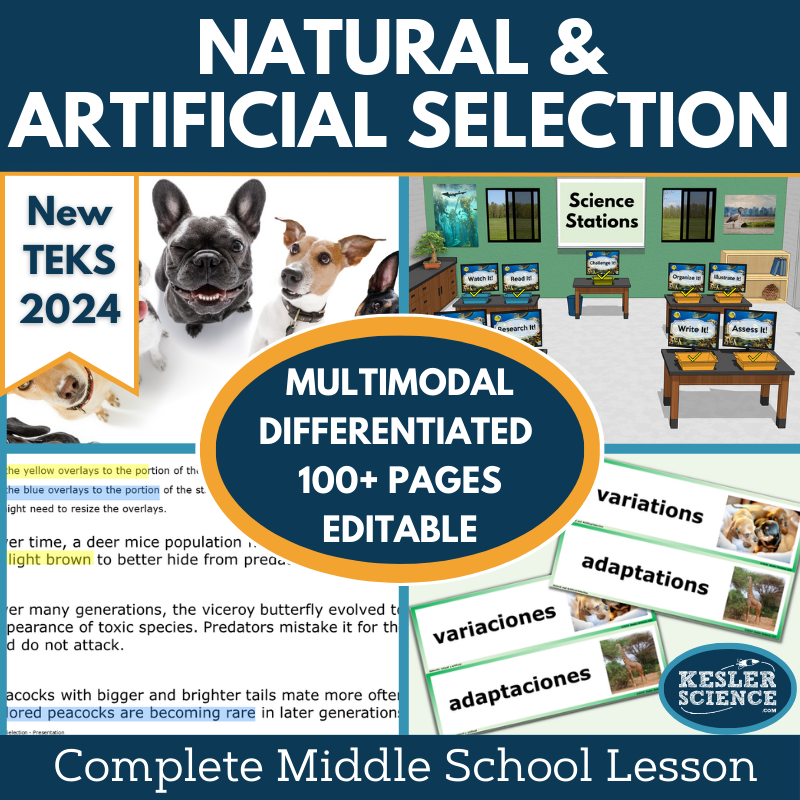 TEKS 7.13D Natural & Artificial Selection for Middle School Science